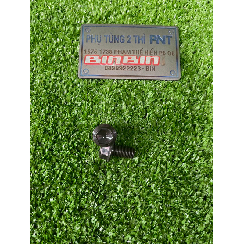 Ốc cảng sau Xipo. Satia zin ( 2 con ) | Shopee Việt Nam