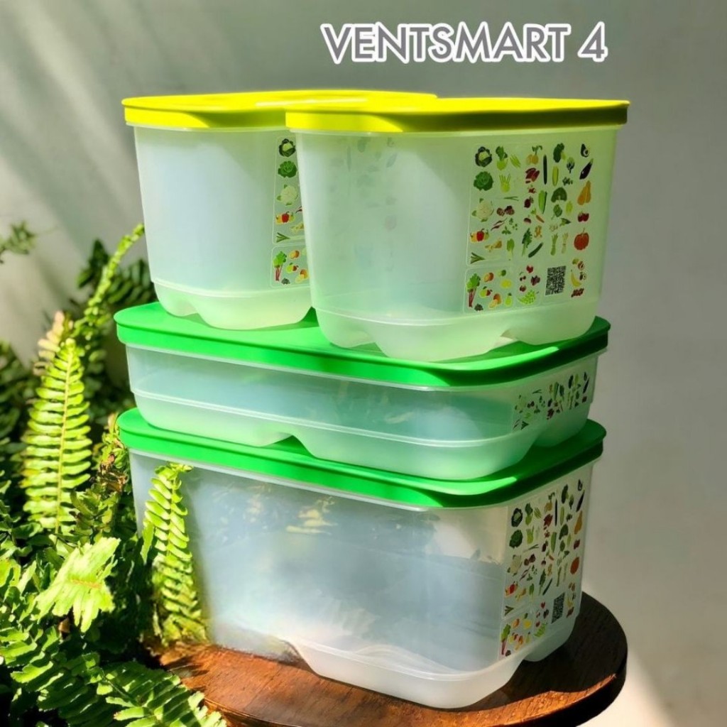 Bộ 4 Hộp Trữ Mát TUPPERWARE Ventsmart Có Nút Hô Hấp | Shopee Việt Nam