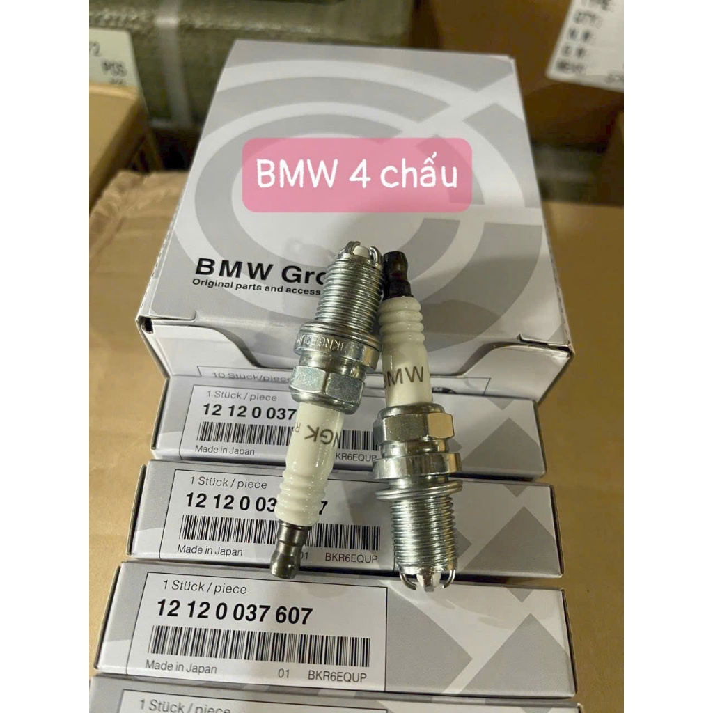 Bugi BMW E46 E39 E83 E36 E63 E53 M54 M62 Z3 320 528 E38 E65 E34 ...