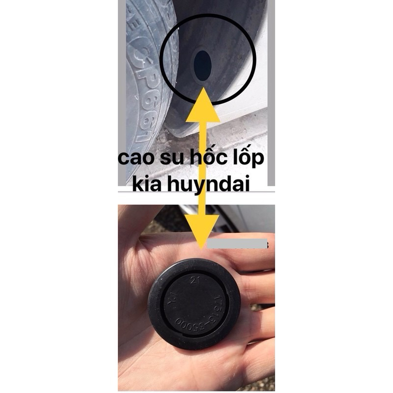 cao su hốc lốp kia morning và huyndai i10 84146-n000 1731335000 và ...