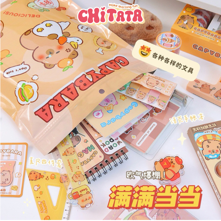 Túi mù Blind pack 8-10 món đồ dùng Capybara Lucky bag set quà tặng cho ...