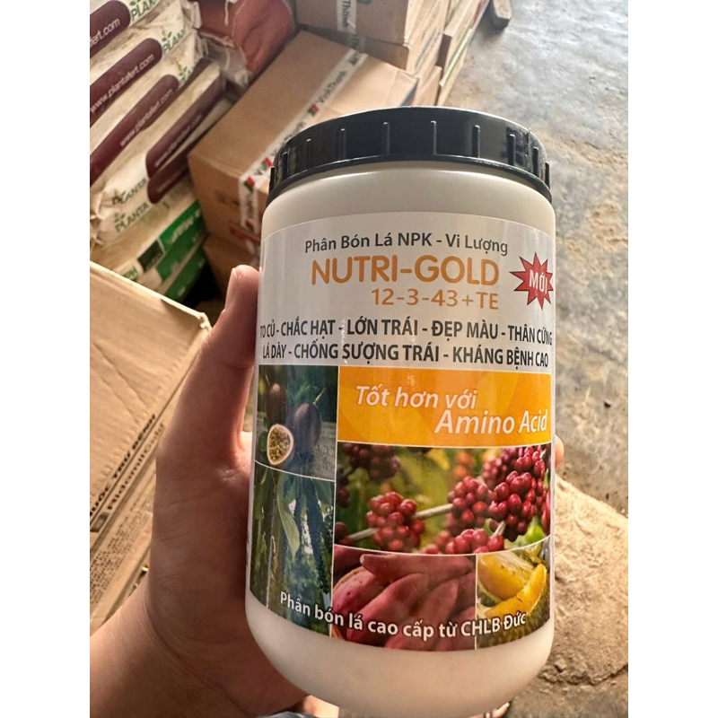 Phân bón lá NUTRIGOLD 12-3-43 +TE VINH THANH xanh, dày lá, thân cứng ...