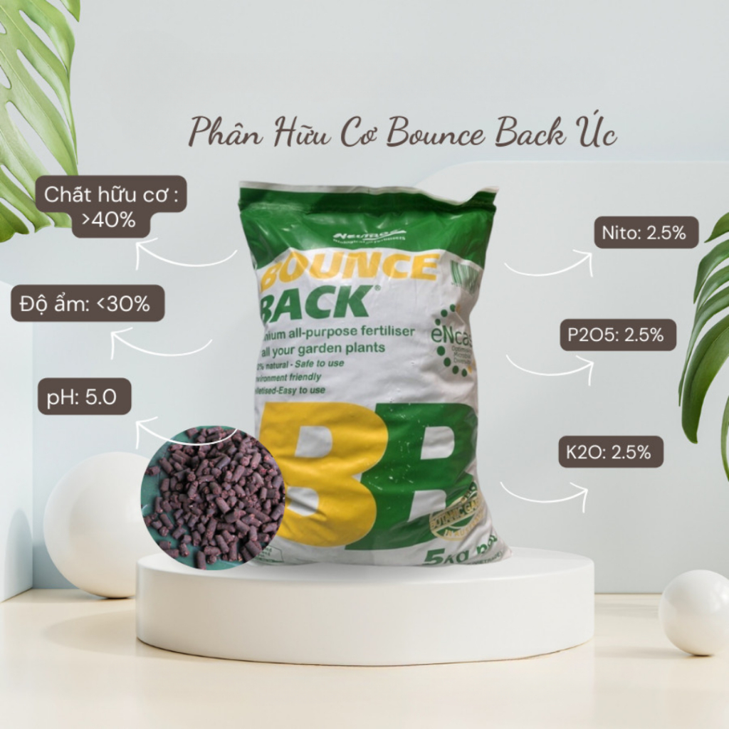 Phân hữu cơ BB Bounce Back nhập khẩu Úc gói 5kg (Vườn Sài Gòn) | Shopee ...