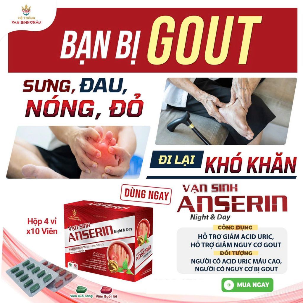Viên GOUT VẠN SINH ANSERIN Night & Day hỗ trợ giảm acid uric, cải thiện ...