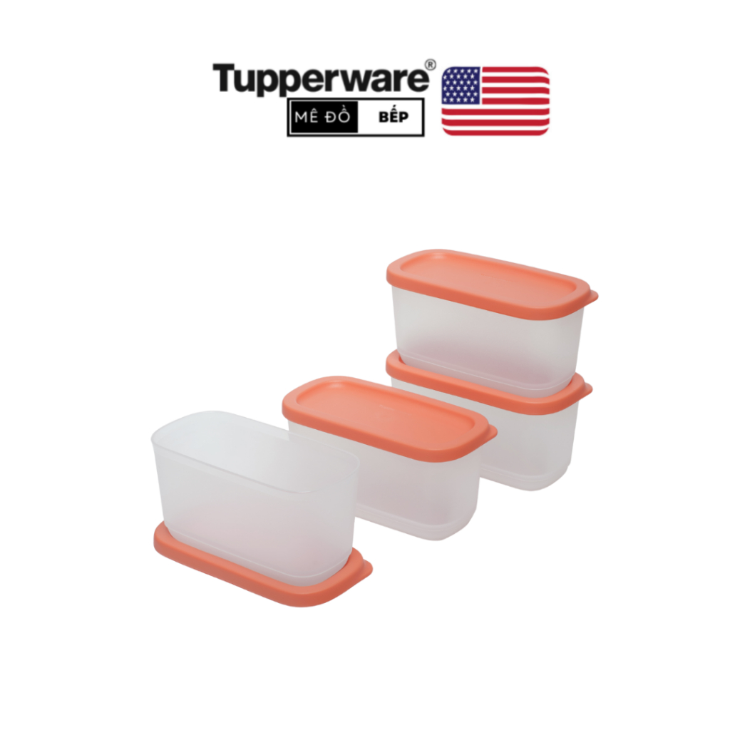 Bộ hộp bảo quản thực phẩm Cubix Mini Rectangular 250ml (4) mới 2024 ...