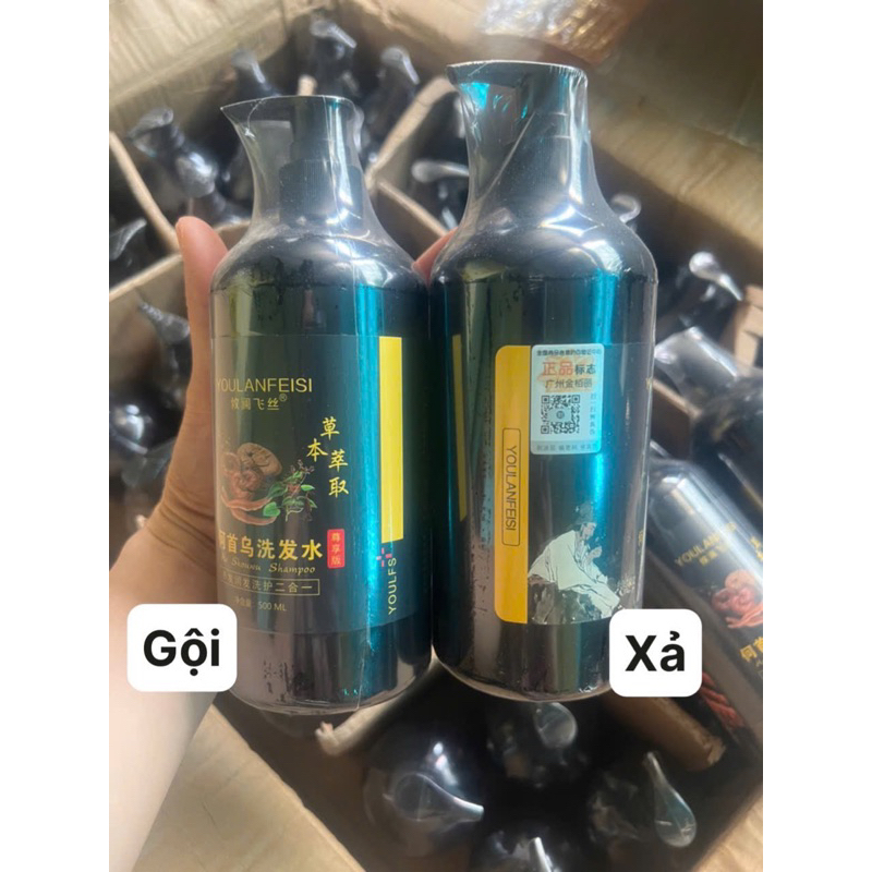 Dầu gội hà thủ ô linh chi thơm mượt mọc tóc(combo 1000ml)dầu nội địa chuẩn 100%đảm bảo dầu chĩnh ...