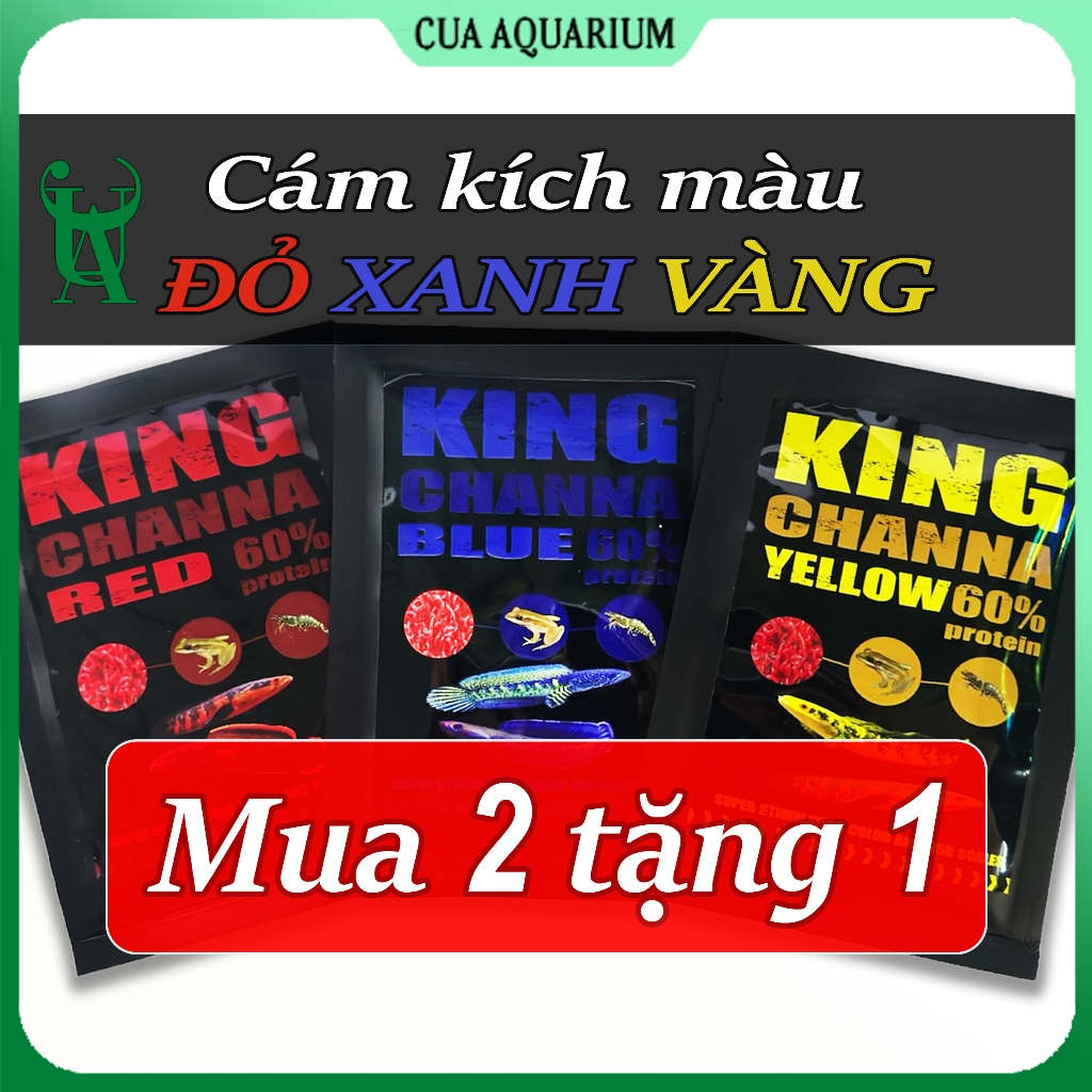 Thức ăn cám kích màu cho cá lóc KING CHANNA (Vẩy Rồng, Nữ Hoàng, Vây ...