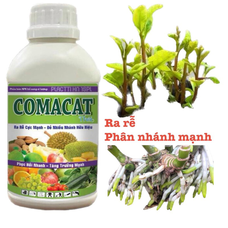 Phân Bón Comacat Thái Chai 500ml,Kích Thích Sinh Trưởng,Bật Rễ Mạnh,Phục Hồi Cây,Dùng Phun Lá Và ...
