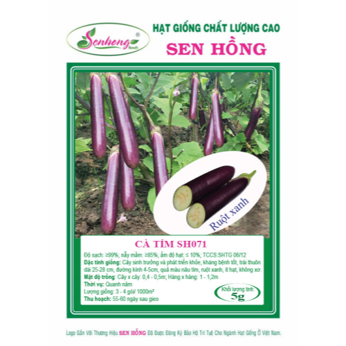 HẠT GIỐNG CÀ TÍM - SH 071 - 5G | Shopee Việt Nam
