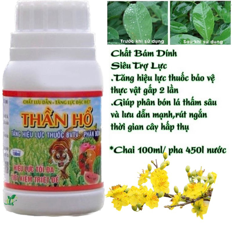 Chất Bám Dính Thần Hổ ,Loang Trải Lưu Dẫn Thấm Sau ,Tăng Hiệu Quả Phân ...