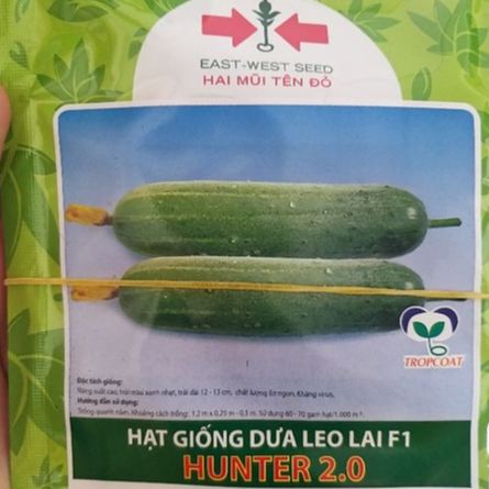 Hạt giống dưa leo lai F1 Hunter 2.0 Hai Mũi Tên Đỏ gói 10g | Shopee Việt Nam