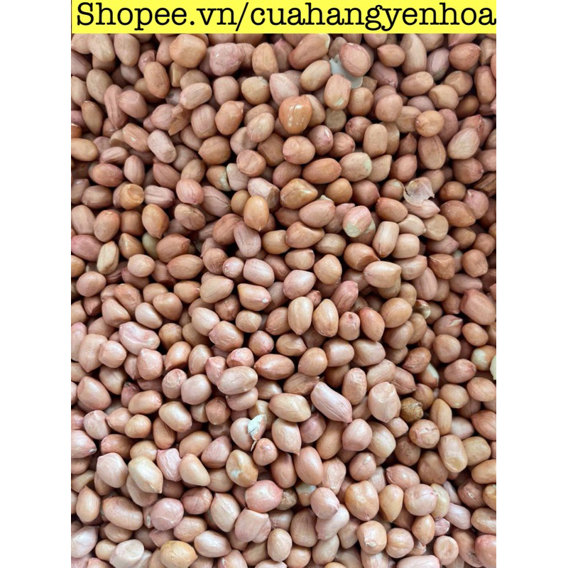 1kg Đậu Phộng Huế ( hạt lạc ) hạt nhỏ, non ngọt | Shopee Việt Nam