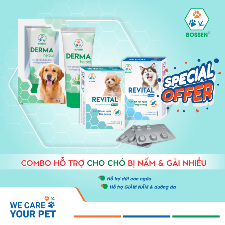 BOSSEN - COMBO HỖ TRỢ CHÓ GIẢM NẤM & GIẢM NGỨA - DERMA HERBAL & REVITAL ...