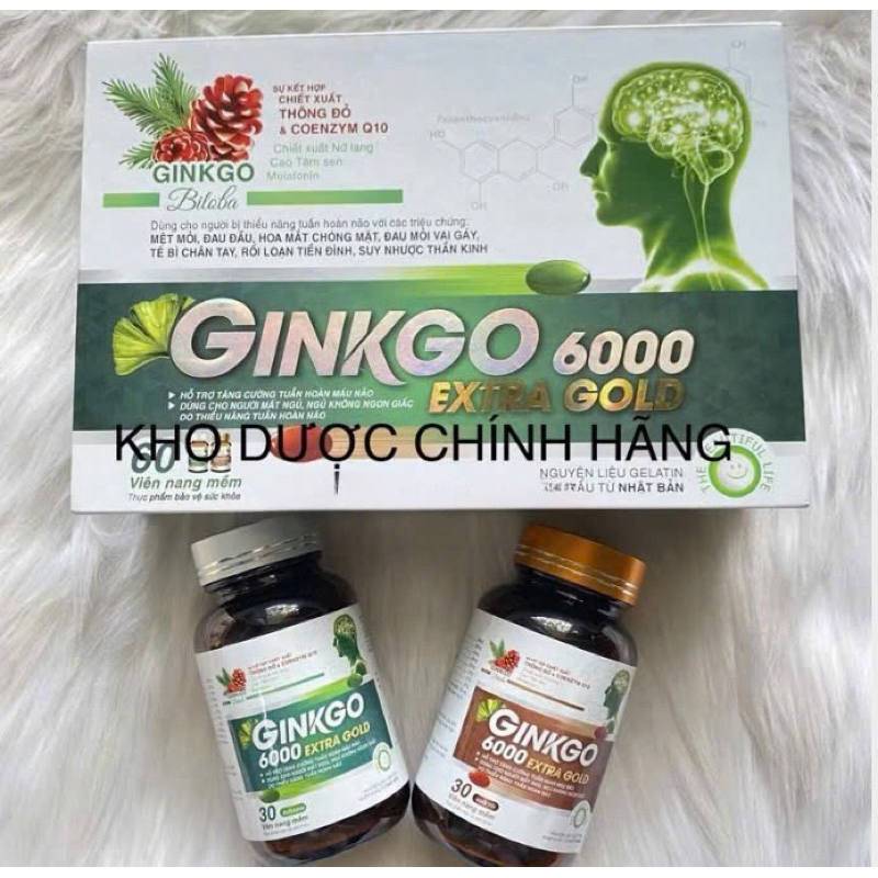 GINKGO 6000 Extra Gold - Ginkgo biloba hỗ trợ tăng cường tuần hoàn máu ...