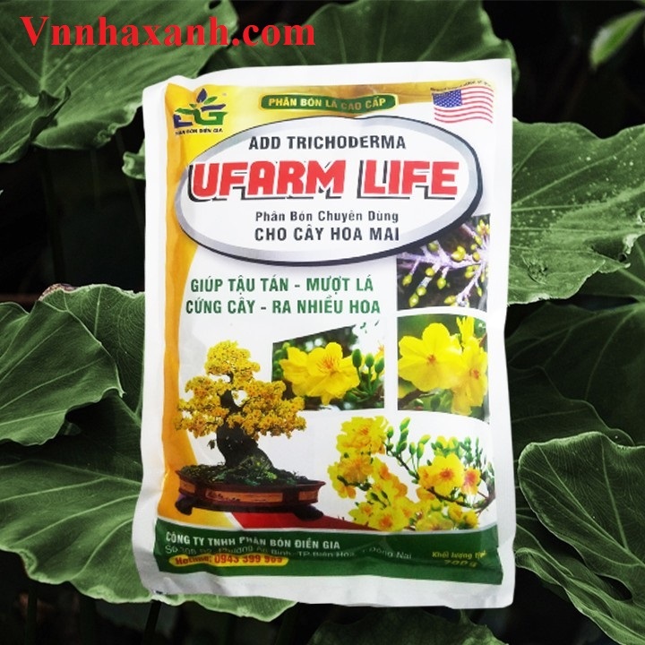 PHÂN BÓN CHUYÊN DÙNG CHO CÂY HOA MAI UFARM LIFE GIÚP TẬU TÁN, MƯỢT LÁ ...