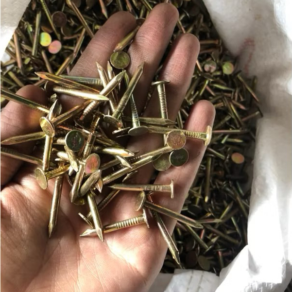 [1KG] Đinh đóng lưới đóng tàu 2cm, 2.5cm, 3cm , đinh thép vàng mũ to ...