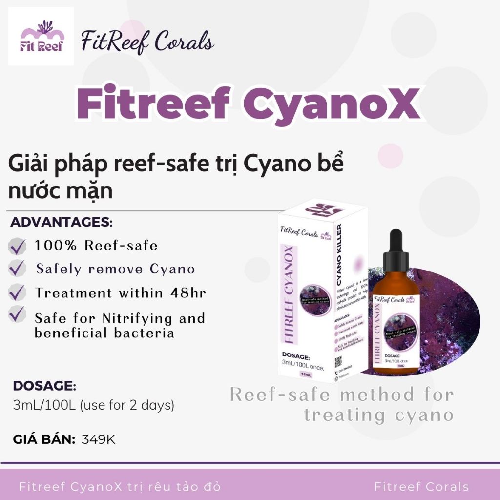 FitReef CyanoX trị cyano (rêu tảo đỏ) reef-safe an toàn cho hệ vi sinh ...