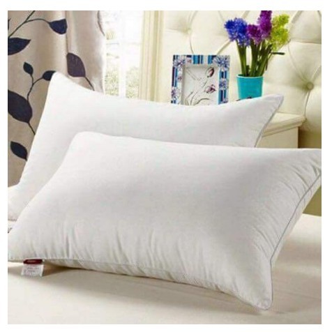 BỘ 2 GỐI NẰM GÒN HƠI ÉP LOẠI 1 40X60cm/Ruột gối hơi nằm ngủ bông mềm ...