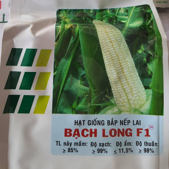 Hạt Giống Bắp Nếp lai F1 Mùa Vàng Bạch Long (Gói 500G) | Shopee Việt Nam