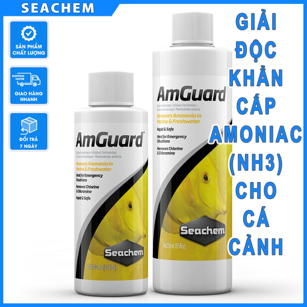 Dung dịch Seachem - AmGuard giải độc khẩn cấp Amoniac (NH3) cho cá cảnh ...