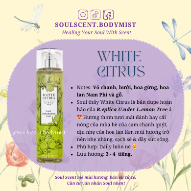 WHITE CITRUS Body mist xịt thơm nước hoa toàn thân Bath & Body Works ...