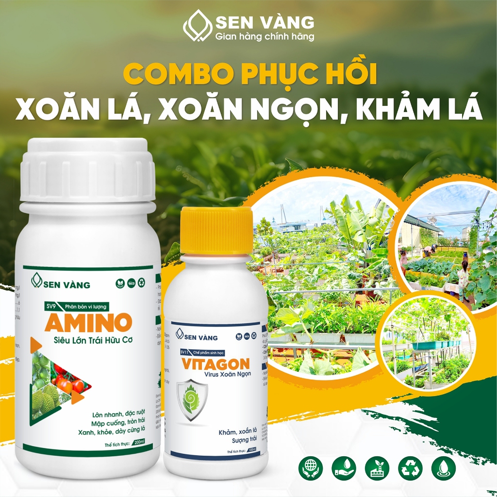 Combo ngăn ngừa xoăn lá, xoăn ngọn hiệu quả (Vitagon SV11 - 100ml ...