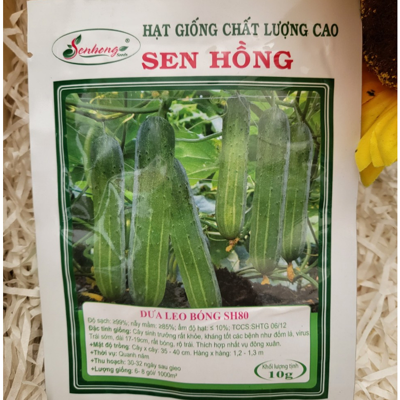 Hạt Giống Dưa Leo lai F1 Sen Hồng SH 80 (Gói 10 Gam) | Shopee Việt Nam