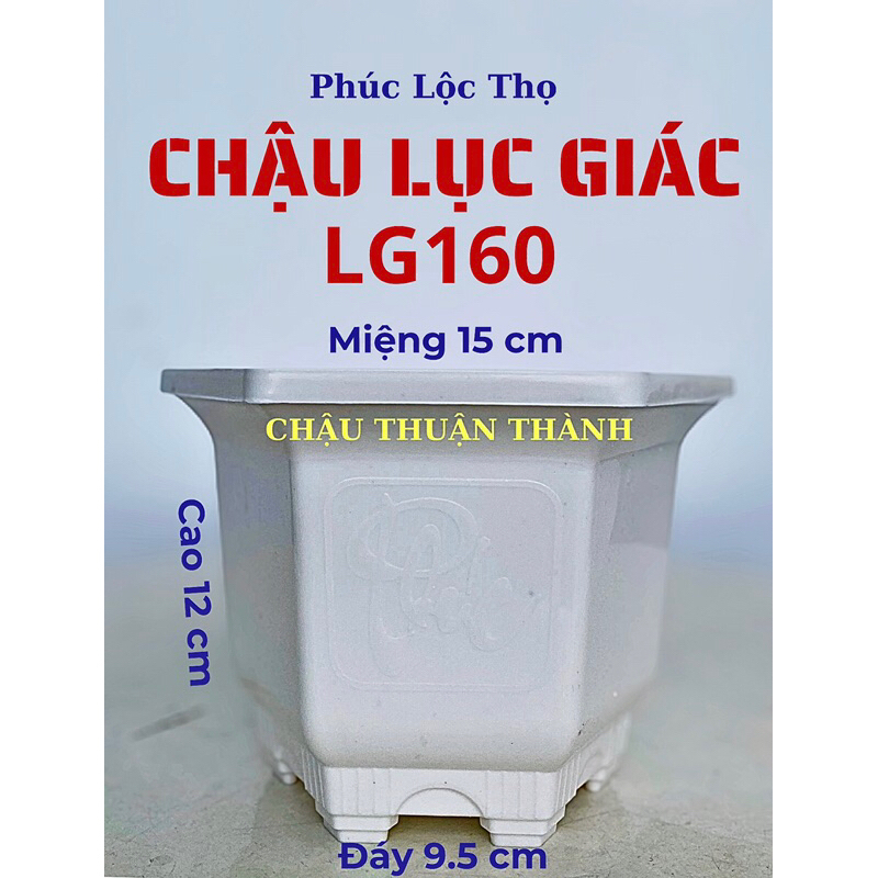 Chậu Nhựa Lục Giác LG160 Trồng Cây -Màu Trắng | Shopee Việt Nam