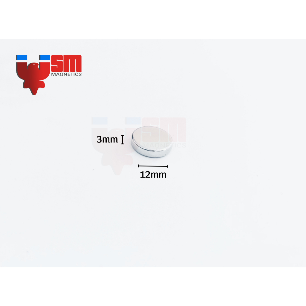 [NCSG] Nam châm đất hiếm 12x3mm lực từ N35 mạ nikel sáng | Shopee Việt Nam