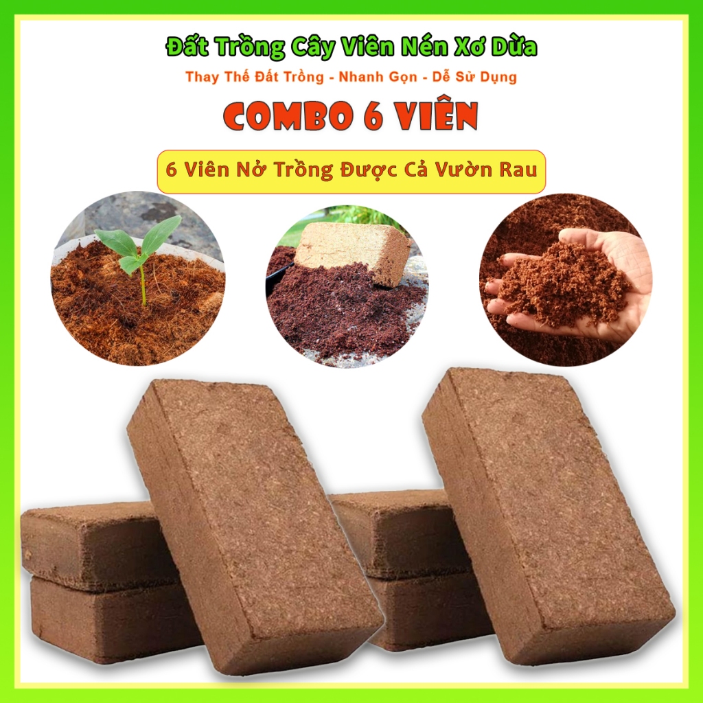 Combo 6 Viên Nén Xơ Dừa, Đất Trồng Cây Hữu Cơ Tiện Ích Trồng Được Tất ...