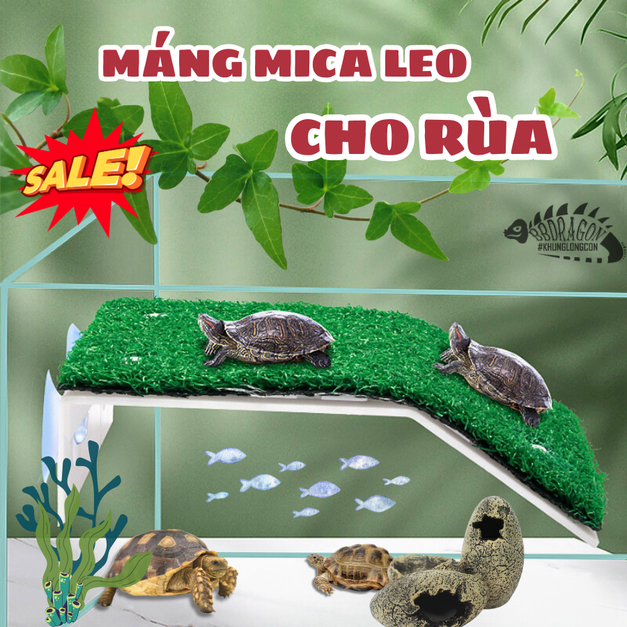 MÁNG LEO MICA THẢM CỎ CHO RÙA TẮM NẮNG RÙA, BỤC LEO CHO RÙA, BỤC NGHỈ CHO RÙA, BỤC SẤY CHO RÙA ...