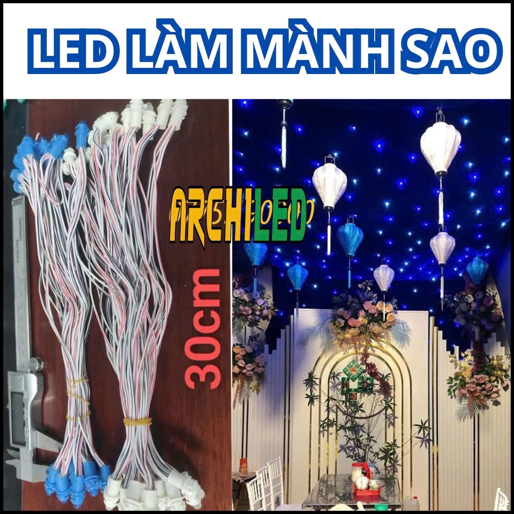 Dây Led Làm Mành Sao Đám Cưới Tổ Chức Sự Kiện, Led Đúc F5 Dài 30cm 12V ...