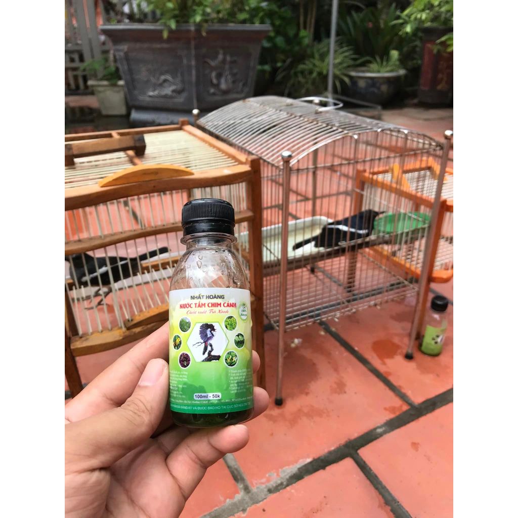 Nước tắm chim cảnh Nhất Hoàng chai 100ml nước tắm cho chim chào mào ...