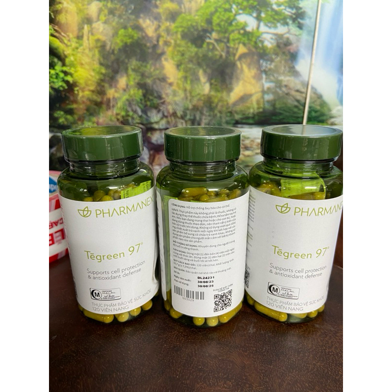 Trà xanh Tegreen hàng công ty | Shopee Việt Nam