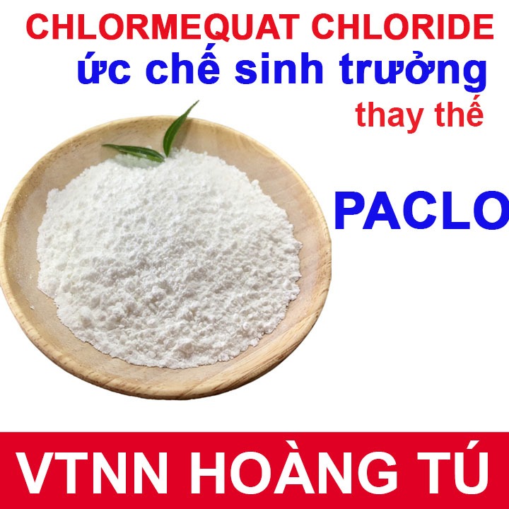 Chất kích thích sinh trưởng CCC (Chlormequat chloride) thay thế PACLO ...