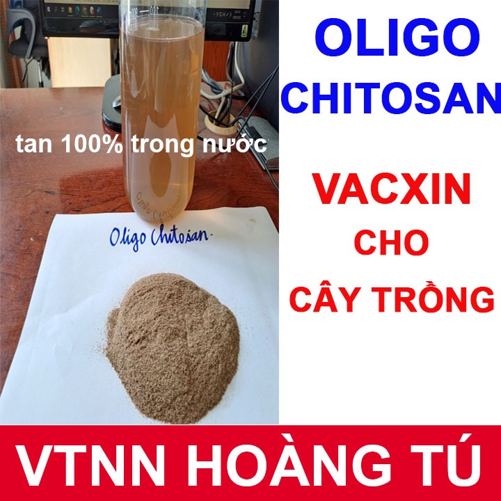 Chế phẩm sinh học chitosan dạng bột - Phân bón chitosan (gói 100gram ...