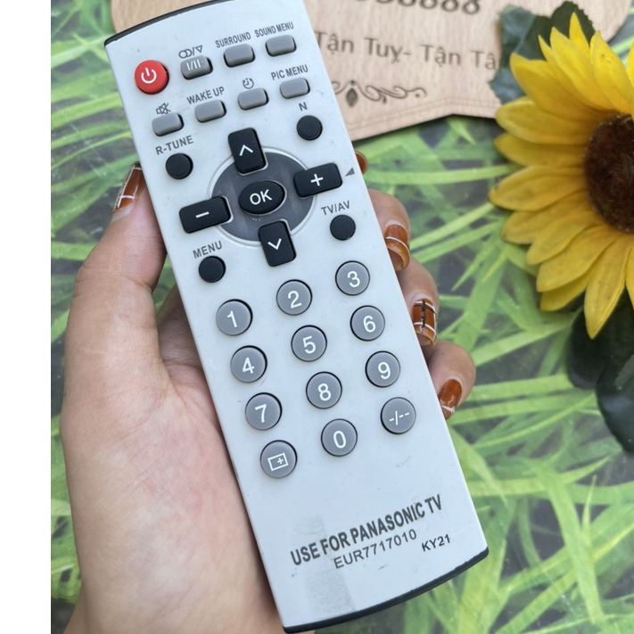 Remote tivi PANASONIC màn hình lồi đời cũ- TẶNG PIN | Shopee Việt Nam