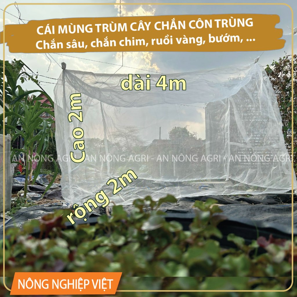 Cái mùng trùm cây ăn trái ngăn ruồi vàng và sâu bọ (nhiều kích thước ...