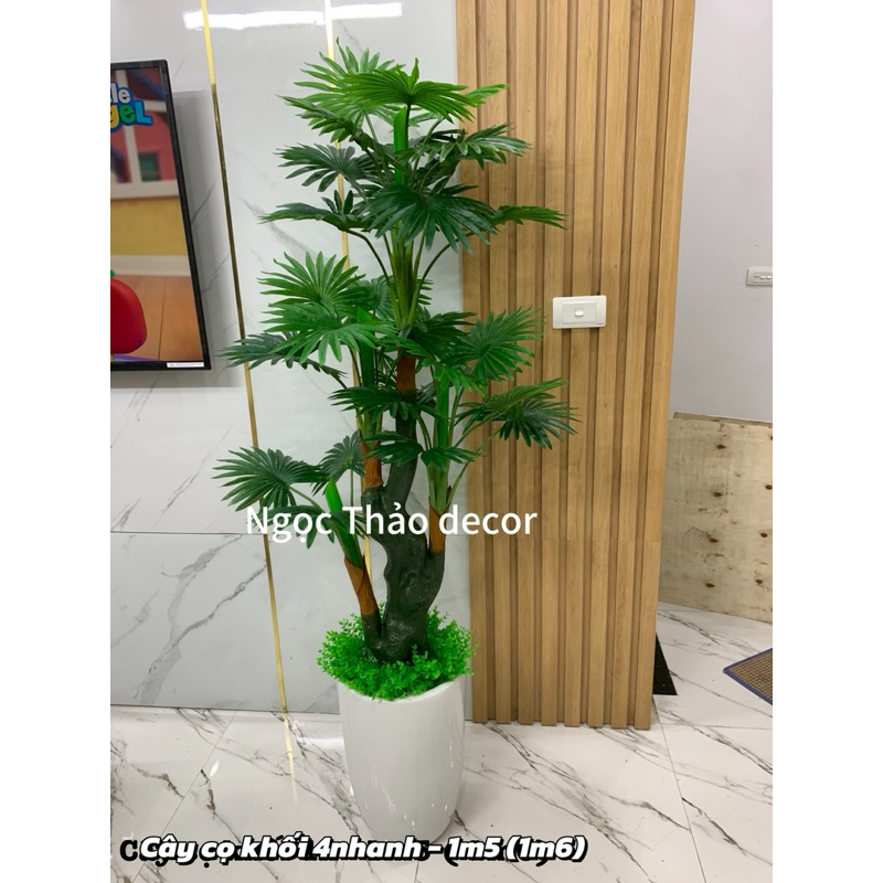 cây cọ giả, cây cọ khối 4 nhánh cao 1m5, cây giả trang trí decor ...