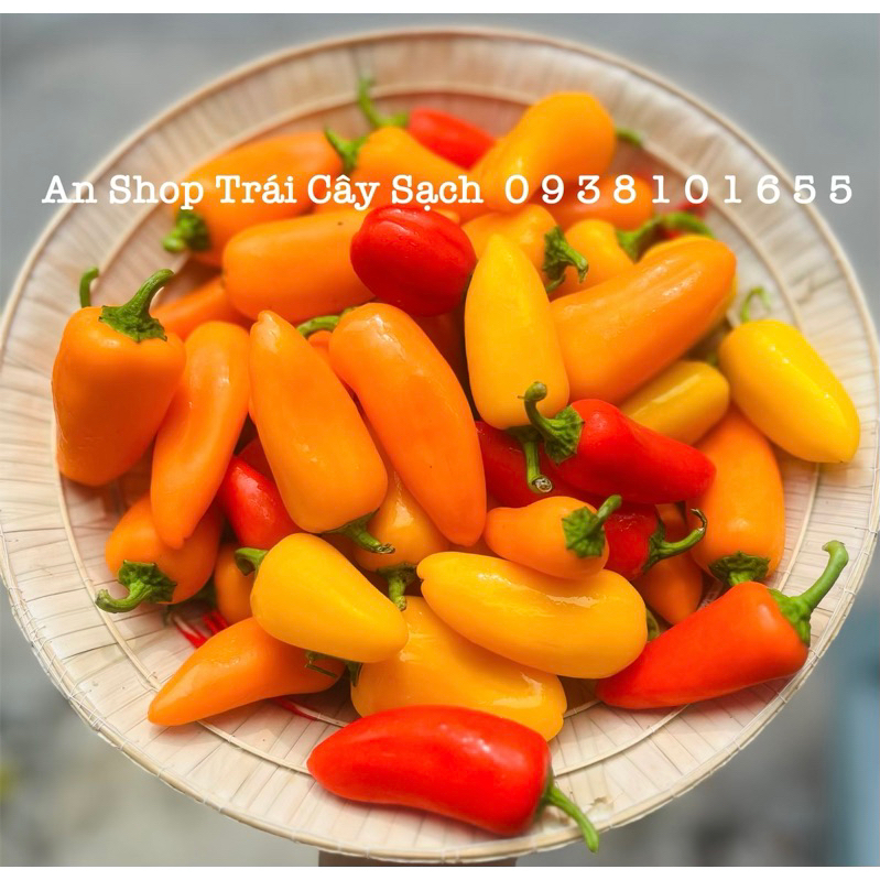 ỚT CHUÔNG TRÁI CÂY NGỌT [Khay 250g, 500g, 1Kg] | Shopee Việt Nam