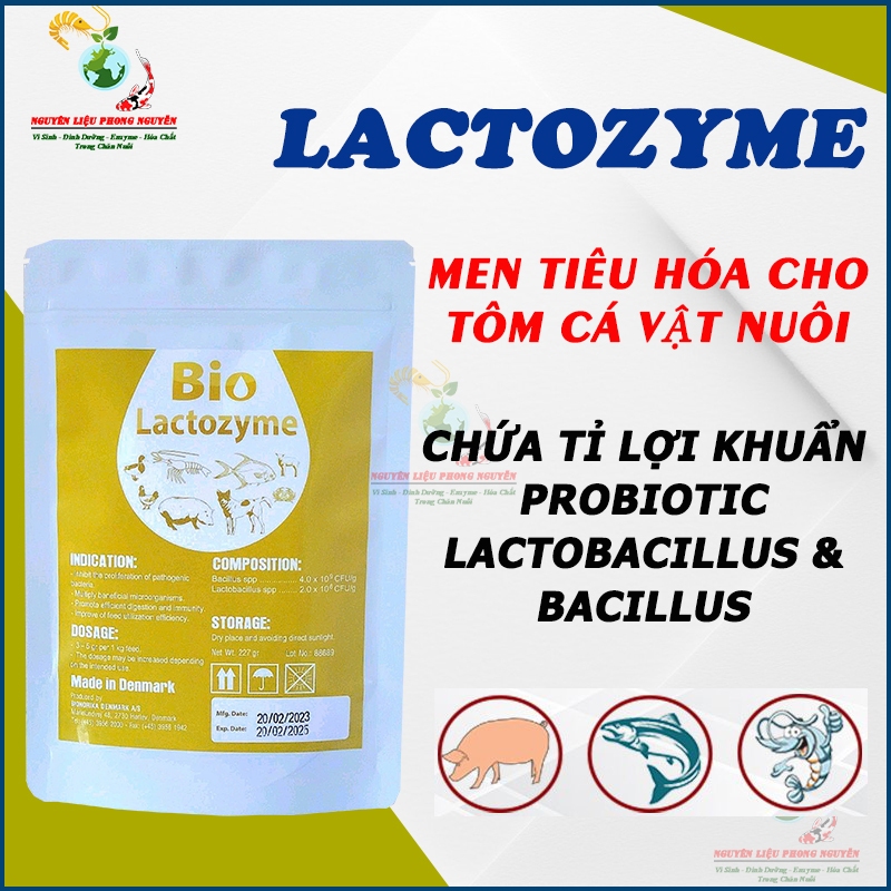 Men tiêu hóa cho chó mèo Tôm cá Lactozyme, bổ sung lợi khuẩn, ngừa phân ...