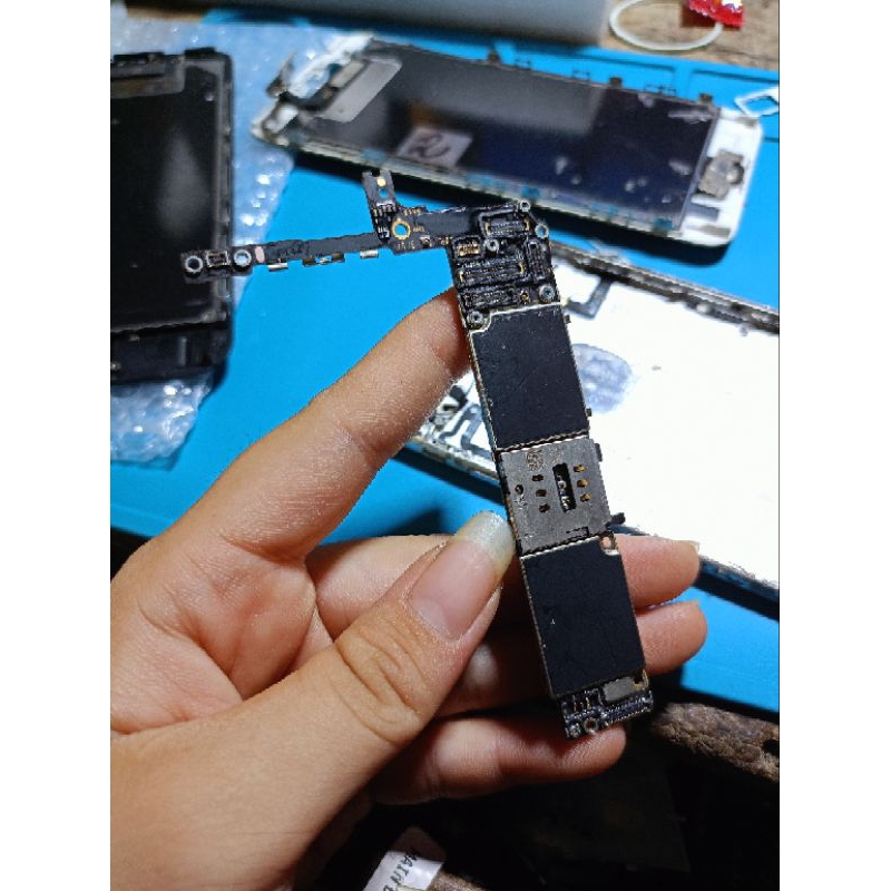 main 6sp hello ( Đọc mô tả ) | Shopee Việt Nam