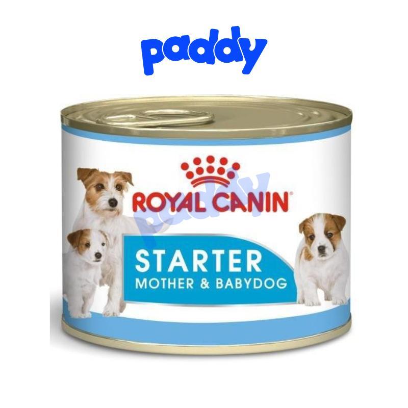 Pate Chó Mẹ & Chó Con Royal Canin Starter Mother & Baby Dog (Lon 195g ...