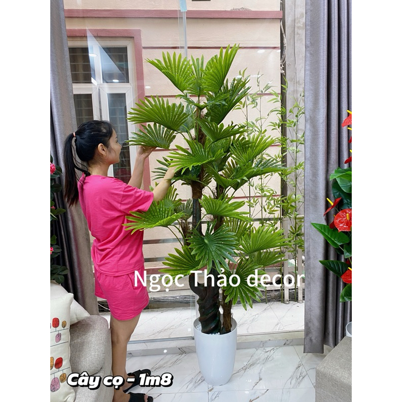 cây giả , cây cọ 1m8 giả, cây giả trang trí không gian đep, cay giả ...