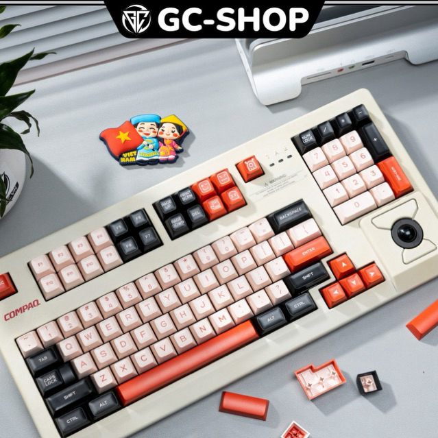 Keycap SA AIFEI FLAMINGO | QXA Profile | ABS Double-shot | 160+ nút ...