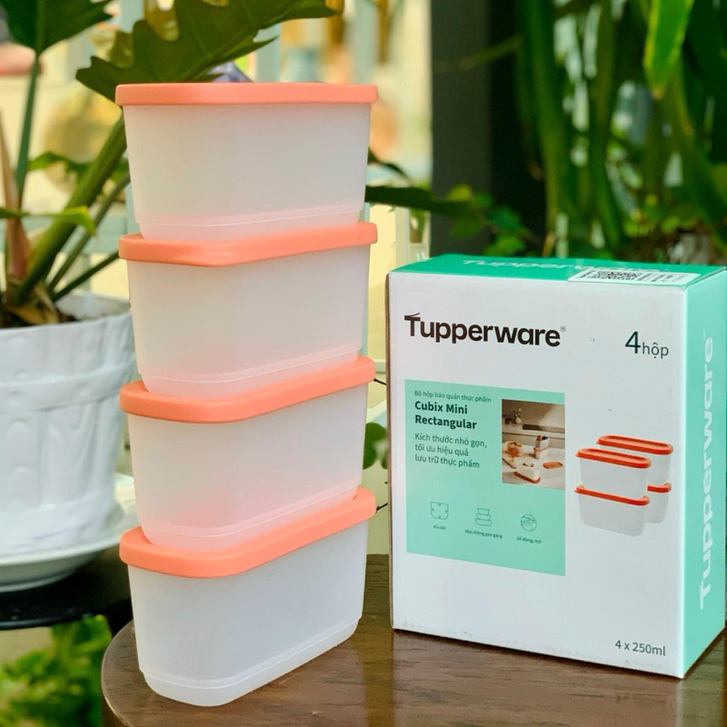 Bộ hộp bảo quản thực phẩm Cubix Mini Rectangular 250ml (4) | Shopee ...