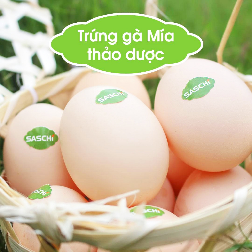 Trứng Gà Mía Thảo Dược Saschi VietGAP KHÔNG KHÁNG SINH - KHÔNG HÓA CHẤT Vỉ 580g 10 Quả | Shopee ...