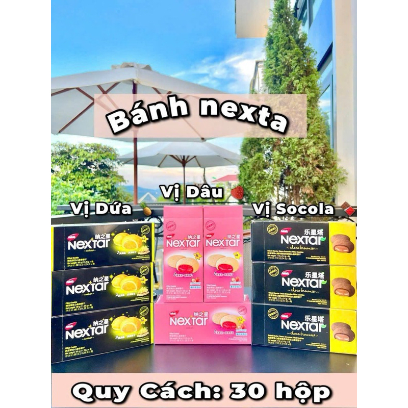 BÁNH NEXTAR 90GR | Shopee Việt Nam