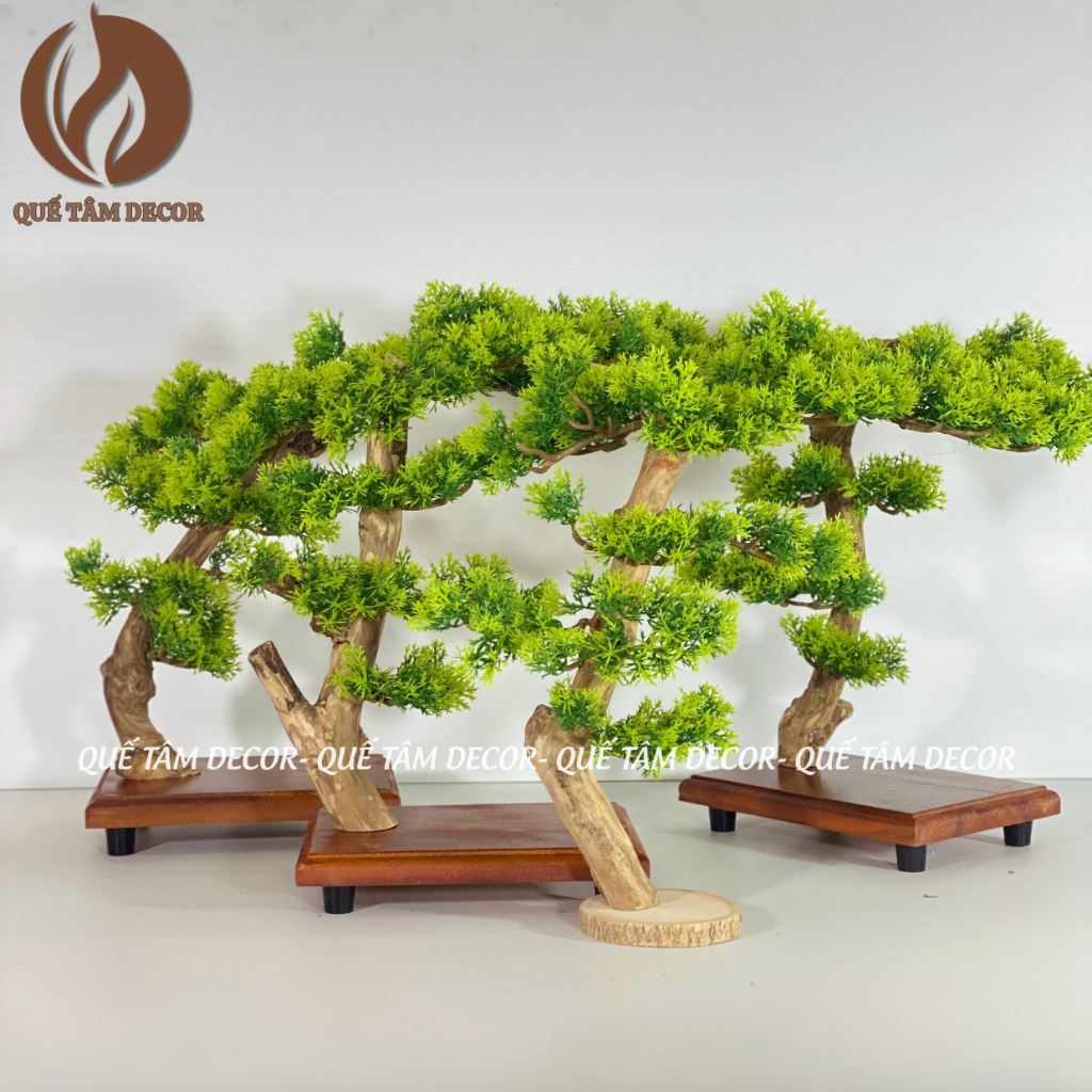 Cây bonsai trang trí tiểu cảnh tượng phật, thác lũa , bàn làm việc, bàn ...