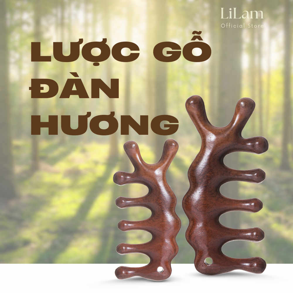 Lược Massage Bằng Gỗ Đàn Hương LiLam (Sandal) | Shopee Việt Nam